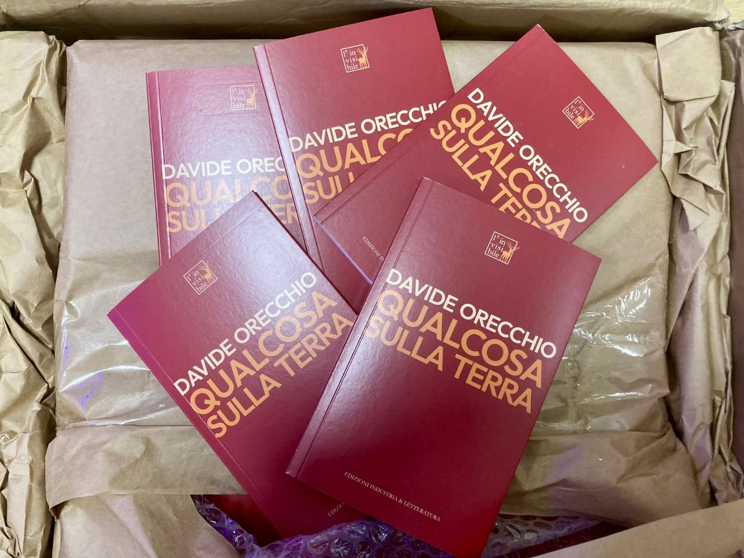 «Qualcosa sulla terra» dal 3 dicembre in libreria – D.O.